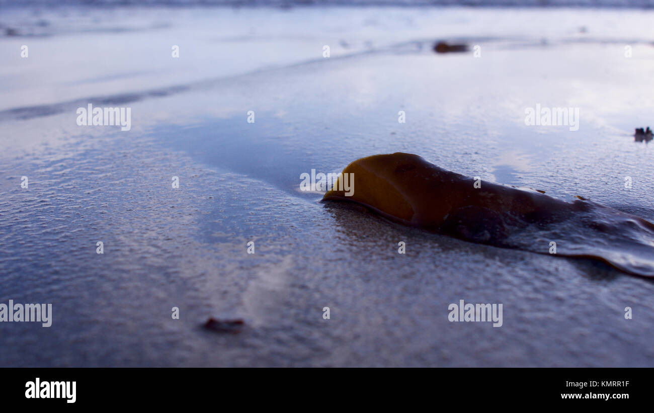 Cold clear winters day on the beach Stock Photo - Alamy