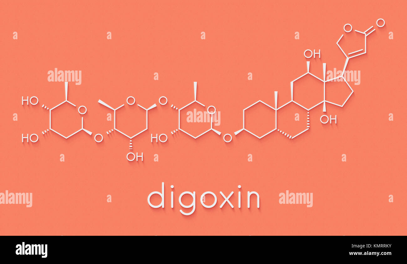 Digitalis lanata hi-res stock photography and images - Alamy