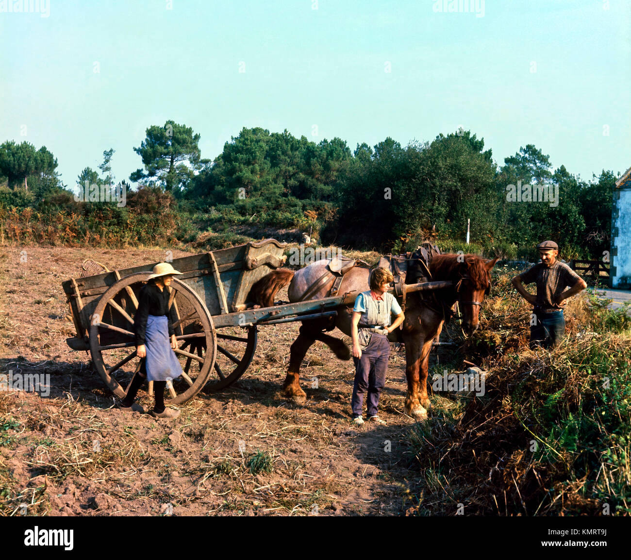 Farming circa 1970s hi-res stock photography and images - Alamy