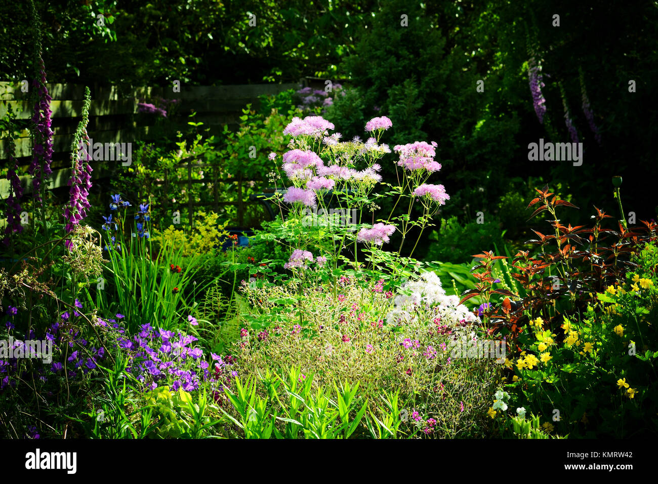 Scottish country garden in Spring sunshine Stock Photo - Alamy