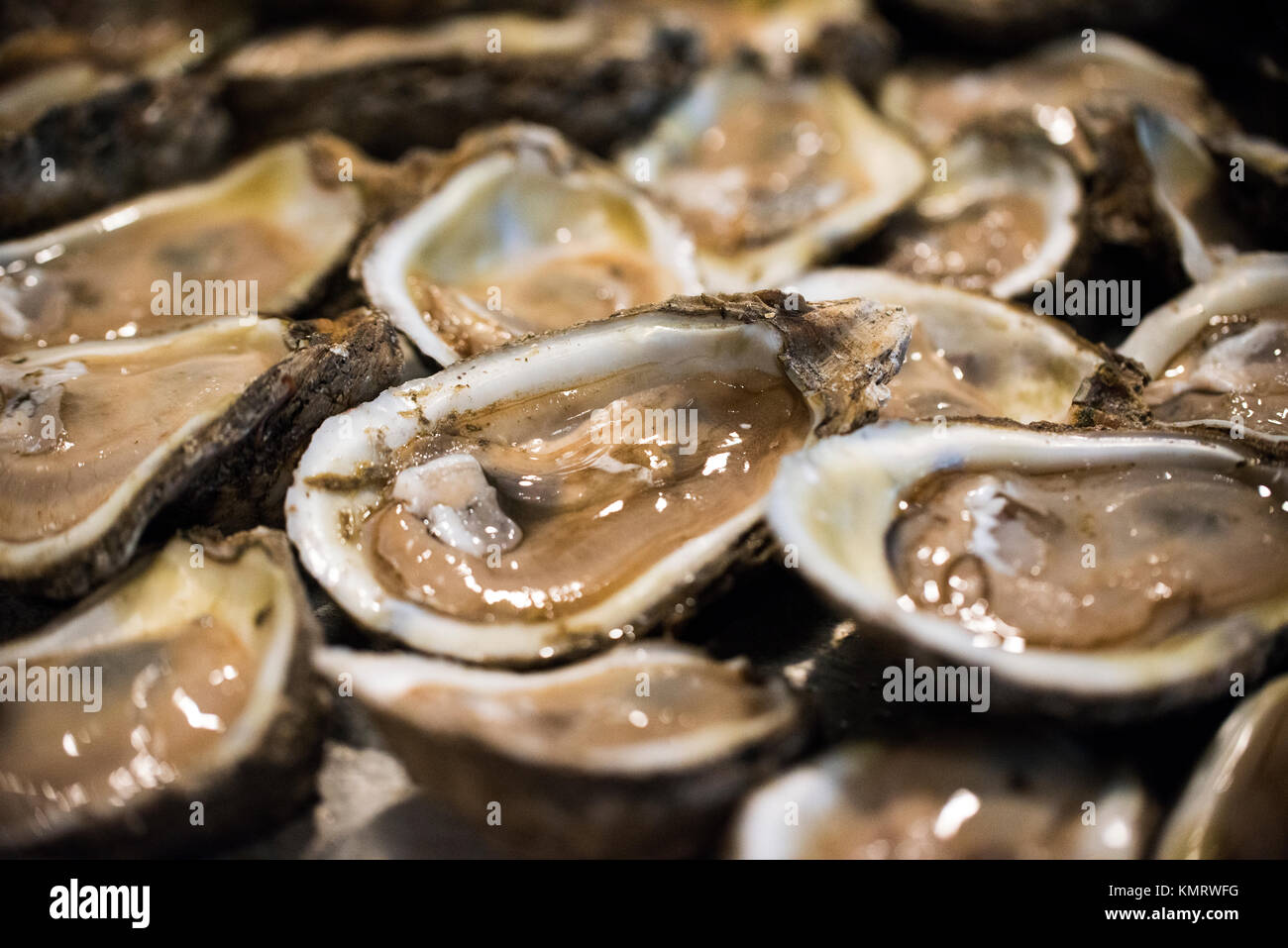 Detail shot of fresh shucked oysters piled on a tray Stock Photo - Alamy