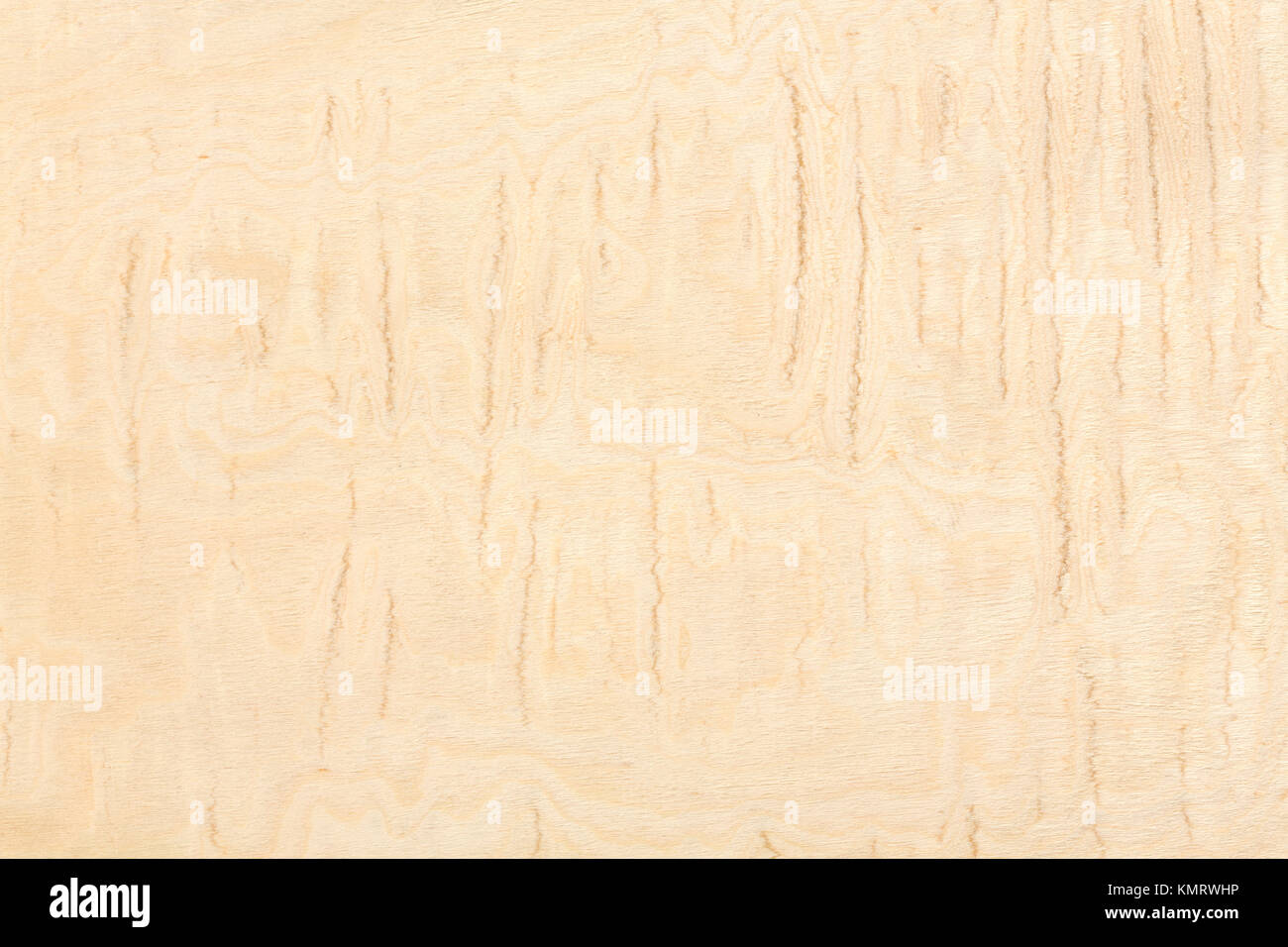 Burl Maple wood design texture. Natural background closeup Stock Photo ...