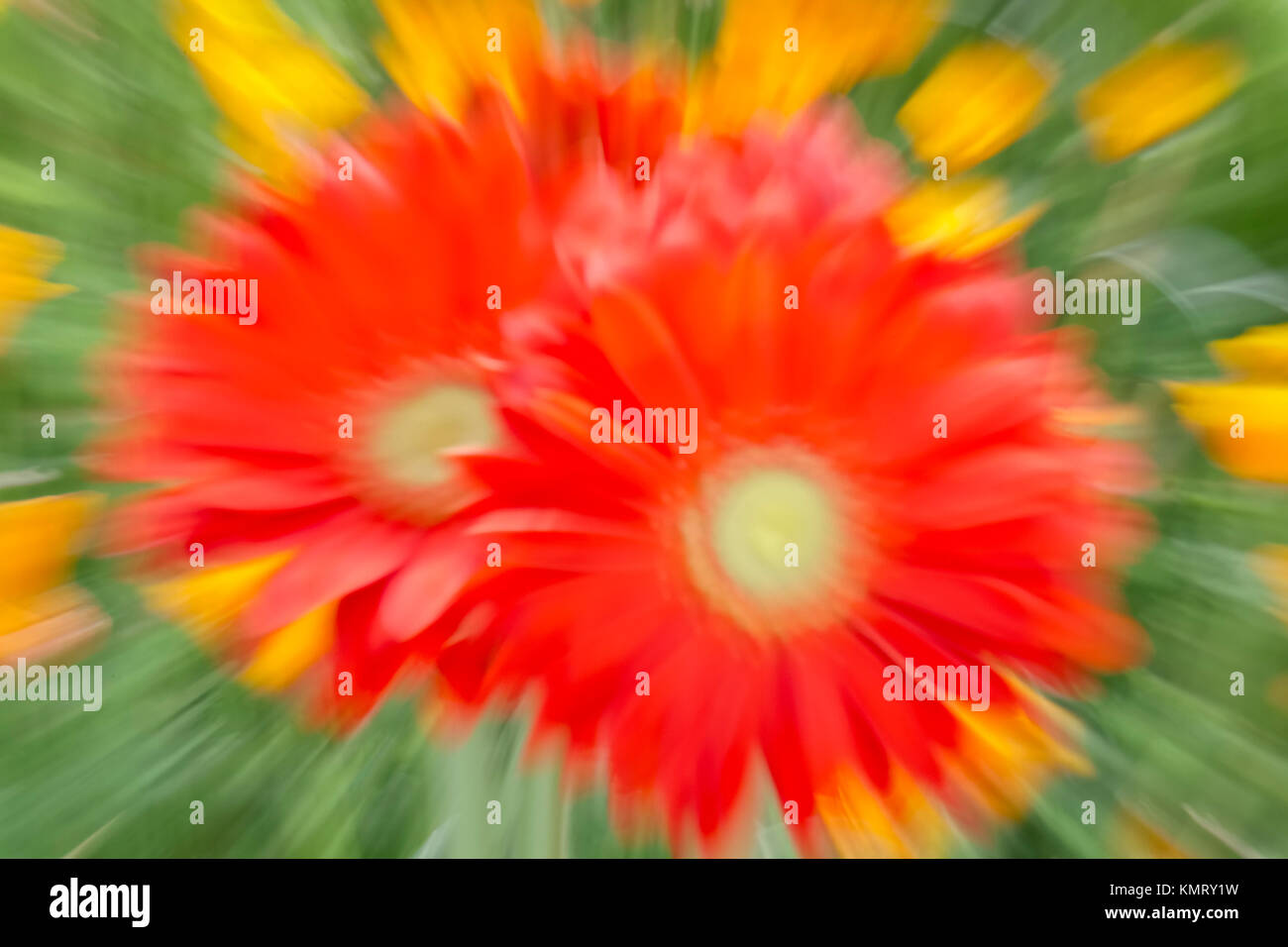 Colour burst hi-res stock photography and images - Alamy
