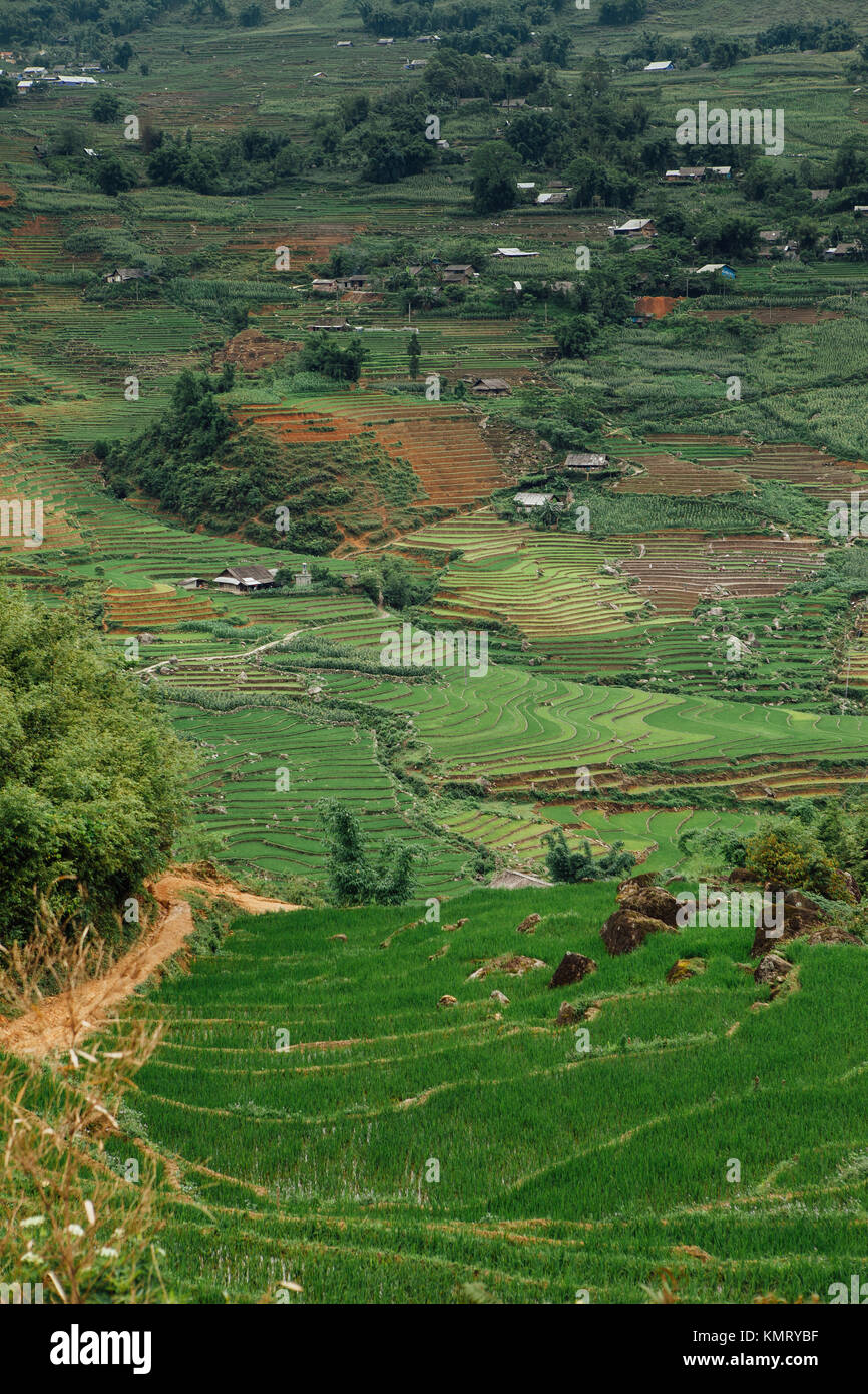 Terrace field hi-res stock photography and images - Alamy