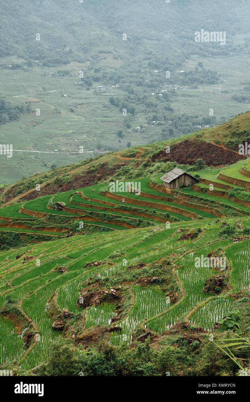 High angle view of log cabin on terrace field Stock Photo - Alamy