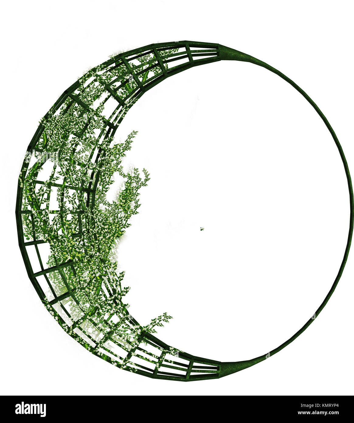 Vines on a metal crescent structure Stock Photo - Alamy