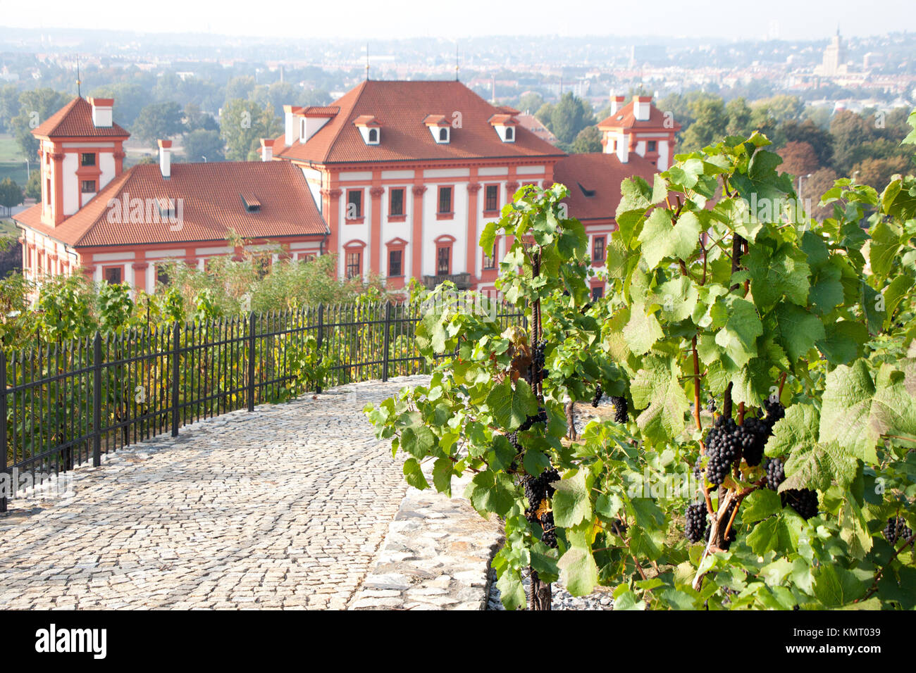 Troja castle, historical St. Claire vineyards, Troja Botanical Garden ...