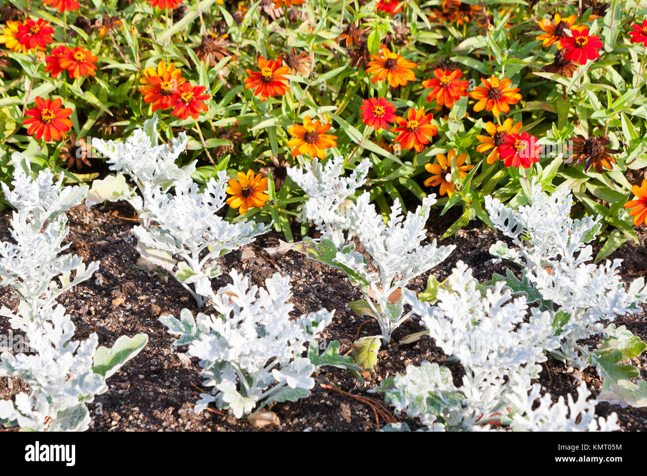 Letnicky hi-res stock photography and images - Alamy