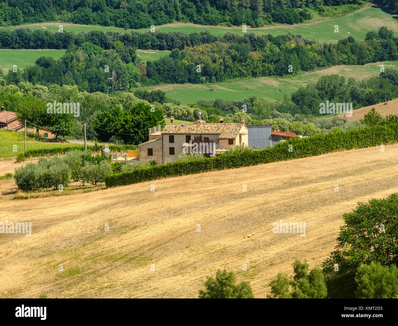 Rural landscape at summer along the road from Fermo to Monterubbiano ...