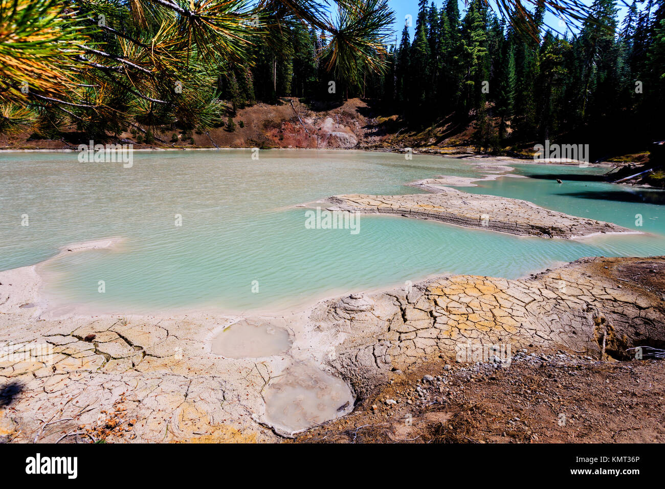 Pretty sulphurous mud pots surrounded by the forest trees and dried mud ...