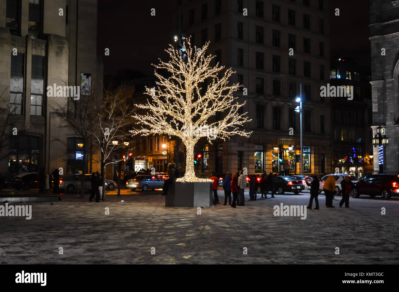 Montreal, Canada - January 1, 2017: Small Tree surrounded by a ...