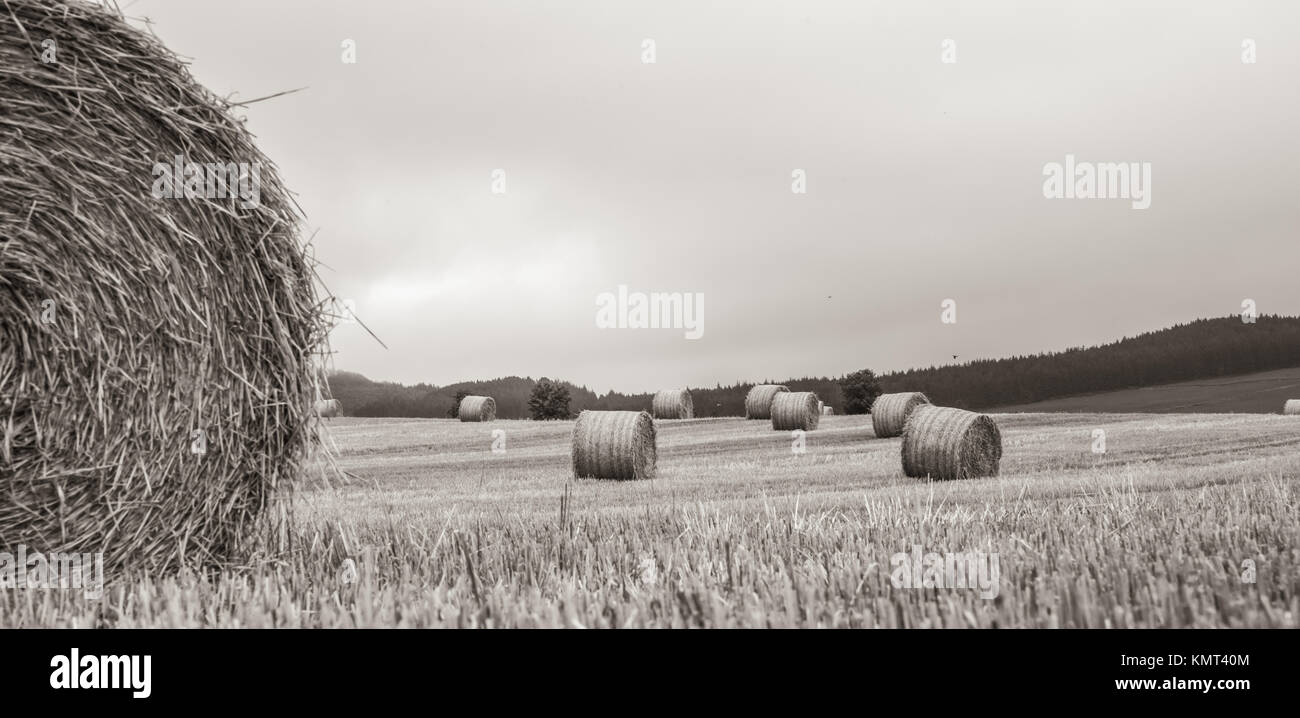 Hay Bales - Monochrome Countryside Scenery Stock Photo - Alamy