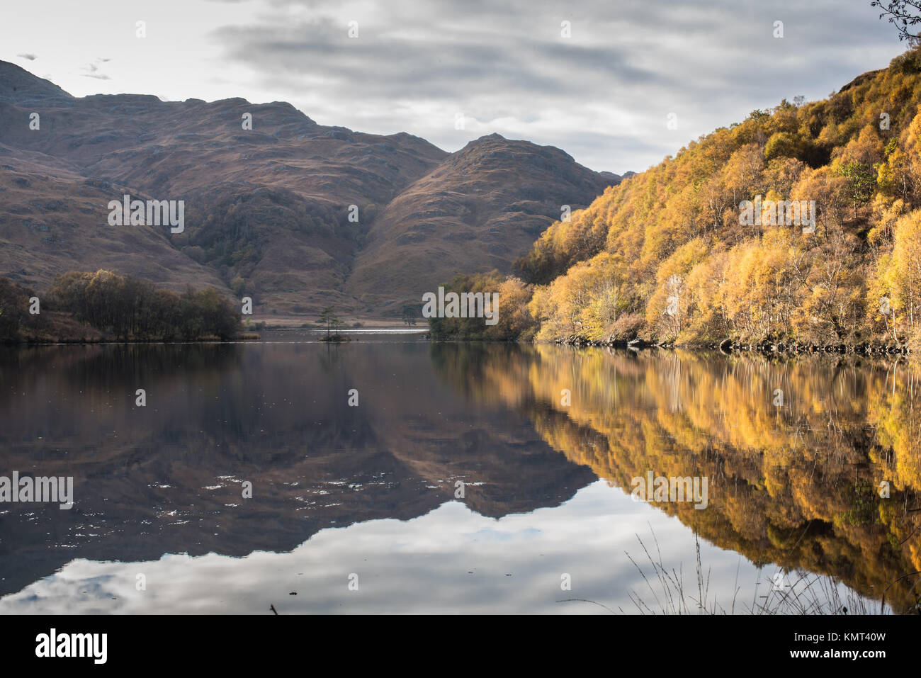 Golden Fall Scenery in Scottish Highlands - Colorful Trees, Water ...