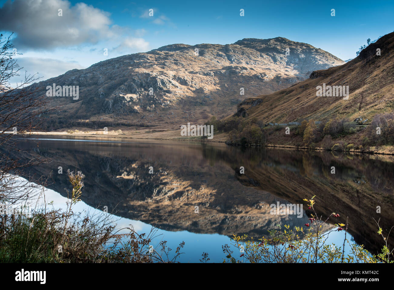 Golden Fall Scenery in Scottish Highlands - Colorful Trees, Water ...