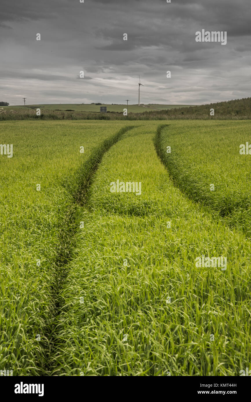 Green Countryside Scenery with Dark Unsettled Sky - Dreamy Location ...