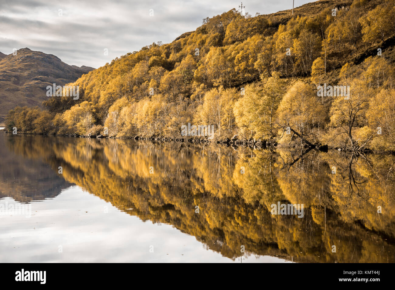Golden Fall Scenery in Scottish Highlands - Colorful Trees, Water ...