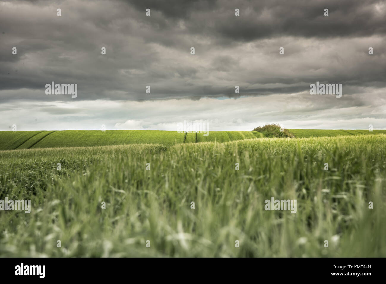 Green Countryside Scenery with Dark Unsettled Sky - Dreamy Location ...