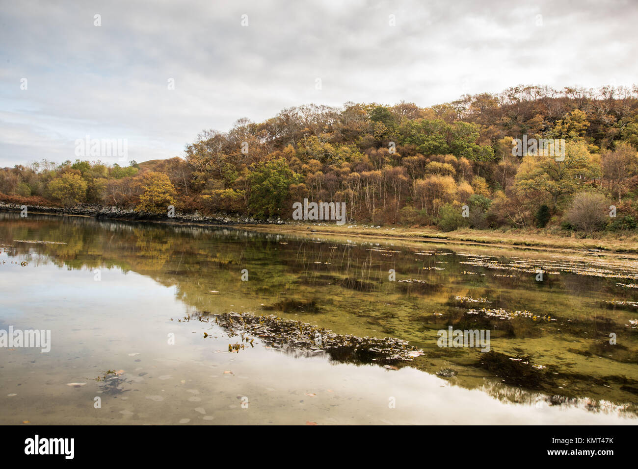 Golden Fall Scenery in Scottish Highlands - Colorful Trees, Water ...