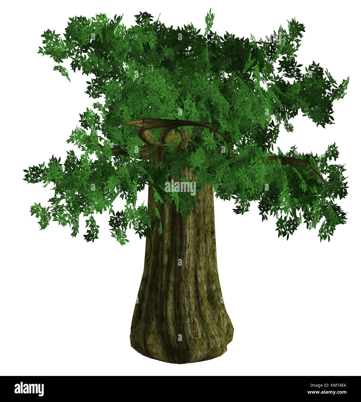 One big tree on a white background Stock Photo - Alamy