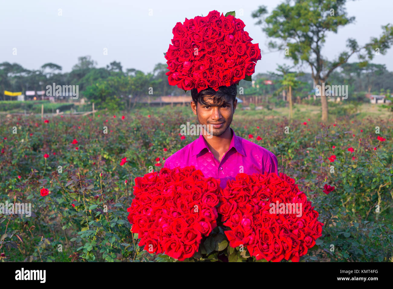 Golap gram hi-res stock photography and images - Alamy