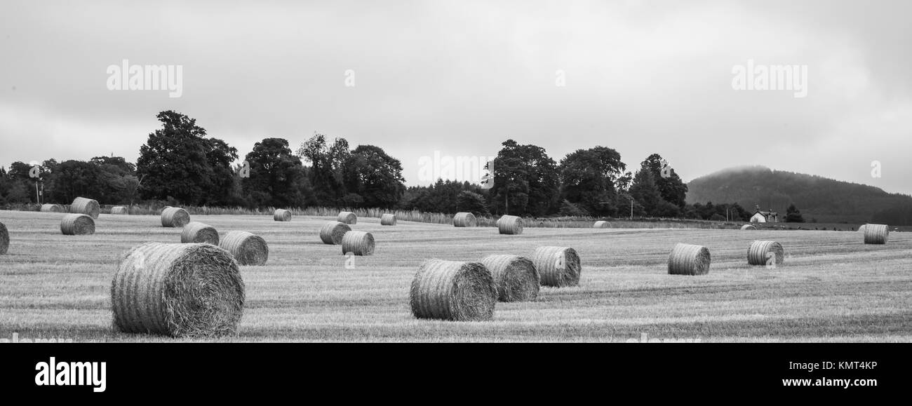 Hay Bales - Monochrome Countryside Scenery Stock Photo - Alamy