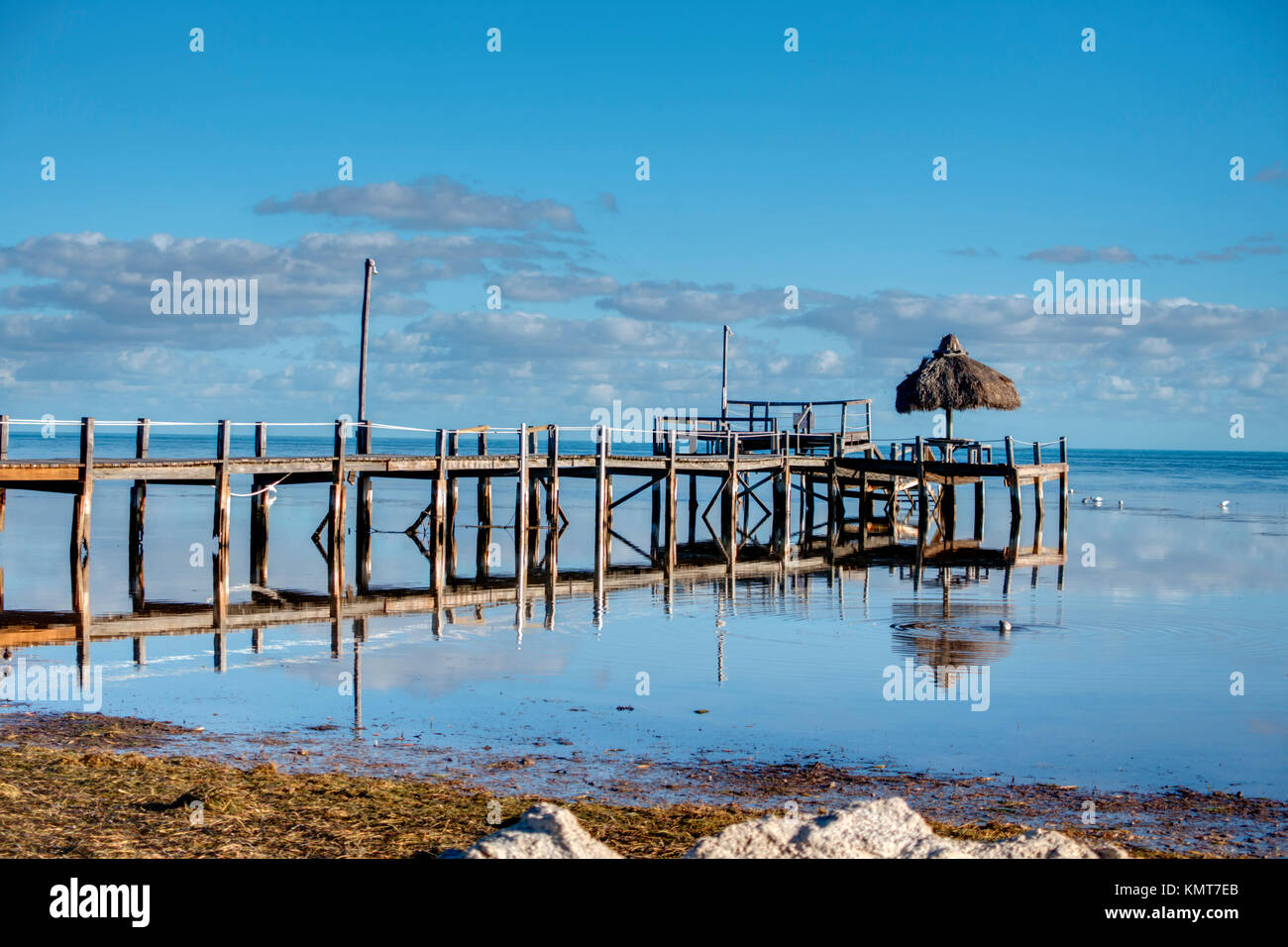 Florida travel hi-res stock photography and images - Alamy