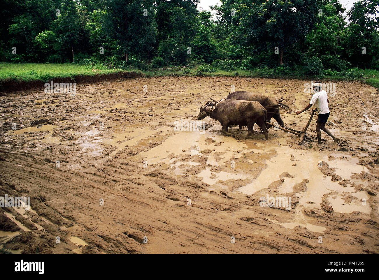 Male mud puddling hi-res stock photography and images - Alamy