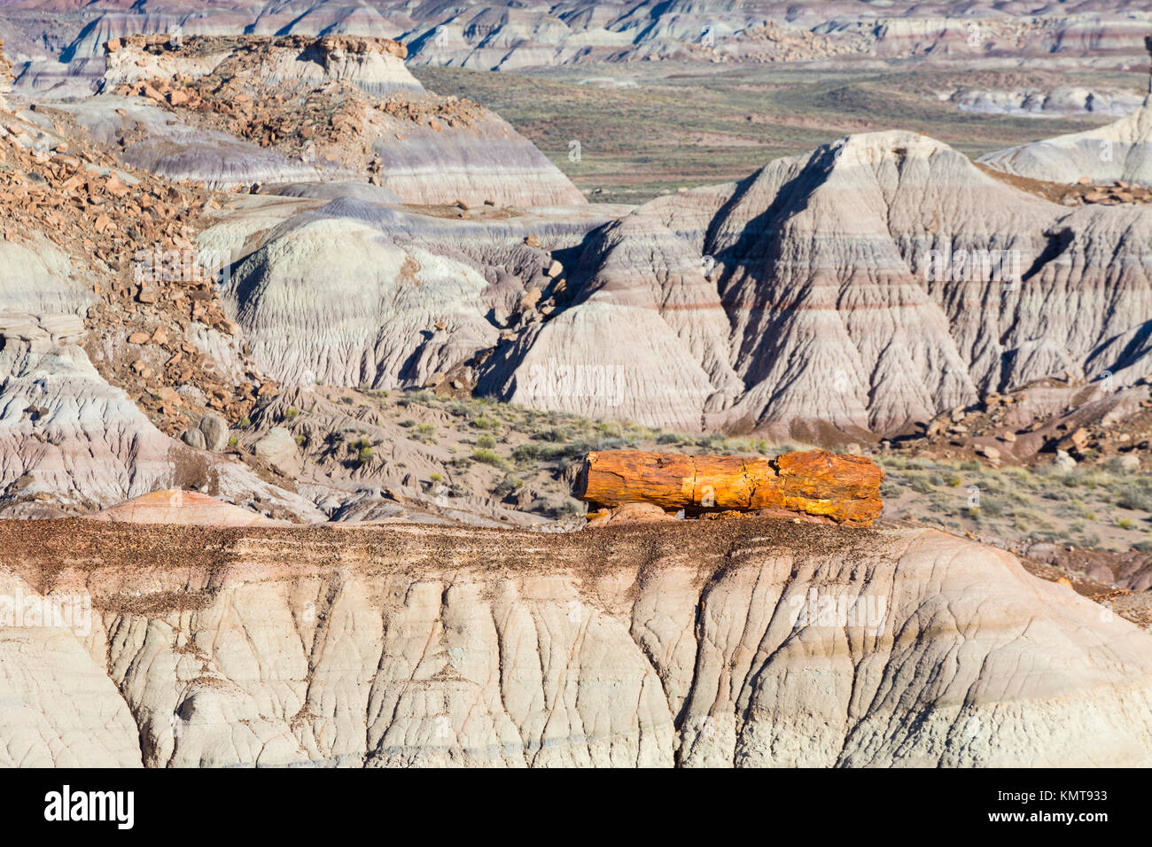 Petrified wood, Badlands, Petrified Forest National Park, Arizona, USA ...