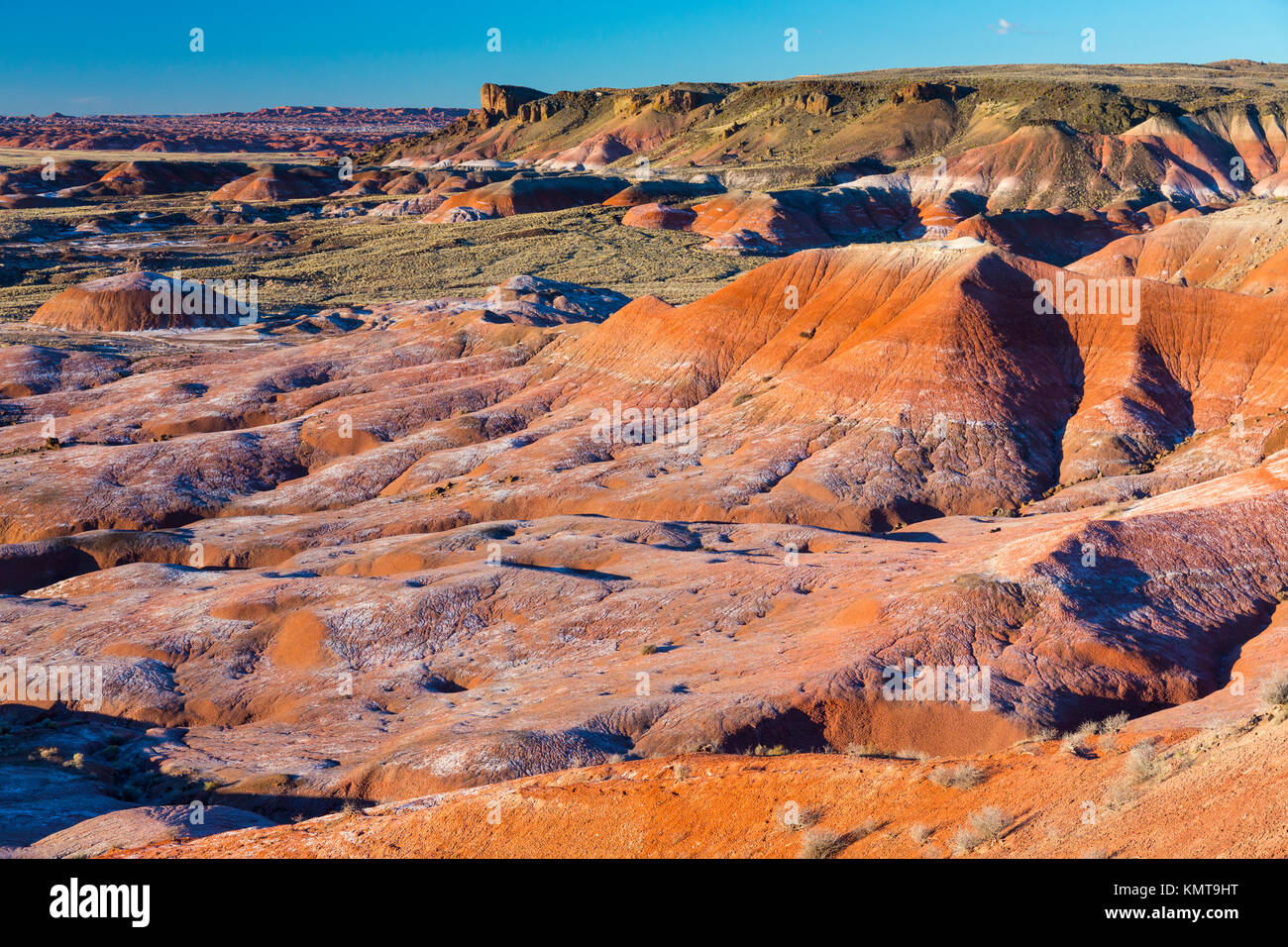 Badlands, Petrified Forest National Park, Arizona, USA, America Stock ...
