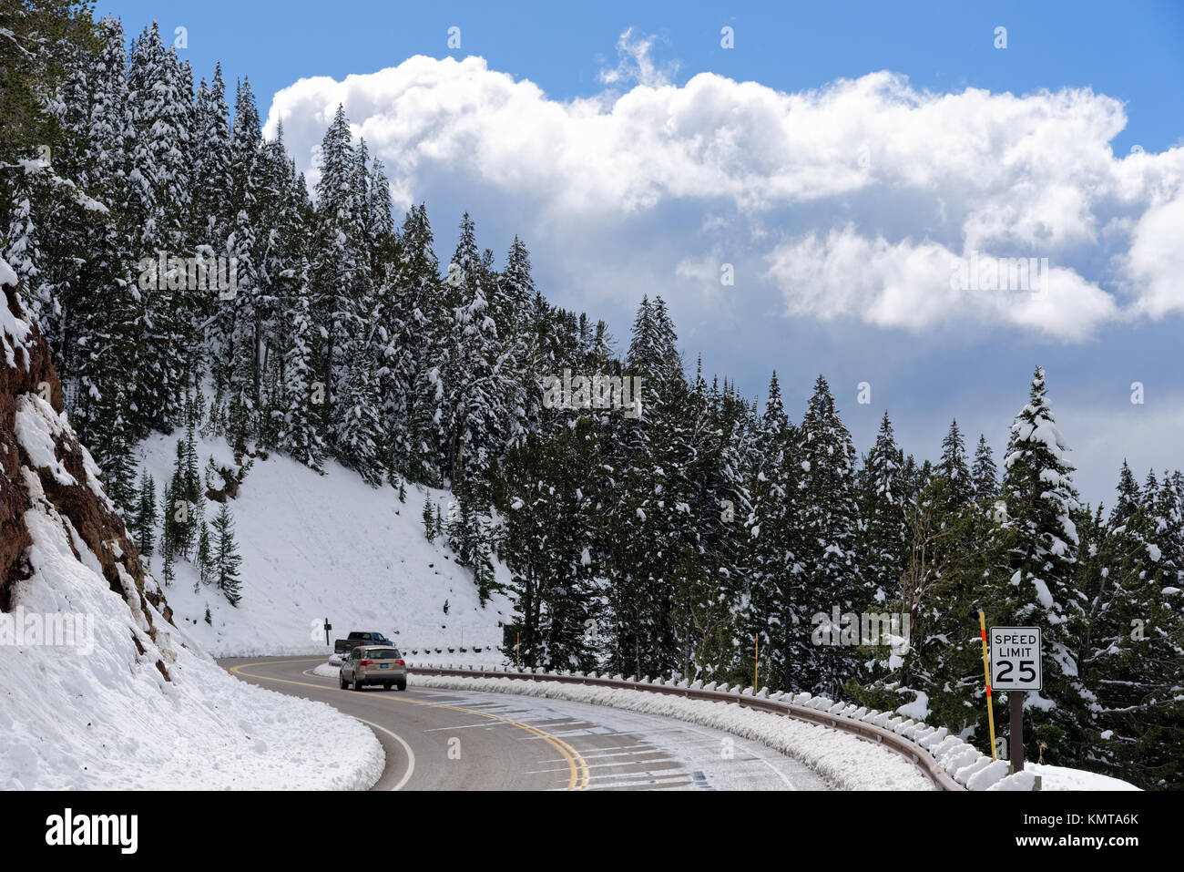 Yellowstone Loop Road surrounded in snow covered trees Stock Photo - Alamy