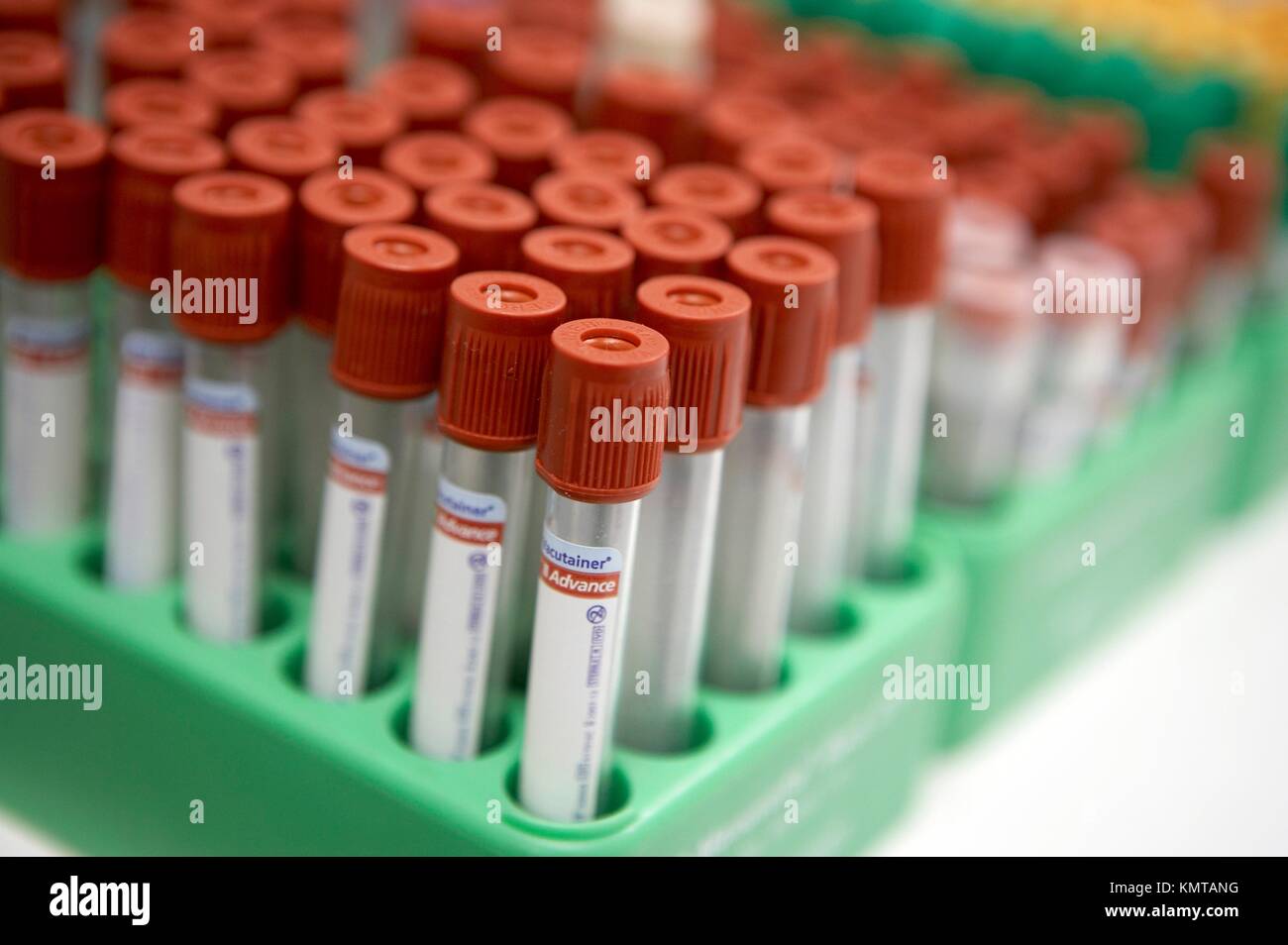 Blood test, Laboratory, Hospital de Zumarraga, Gipuzkoa, Euskadi Stock ...
