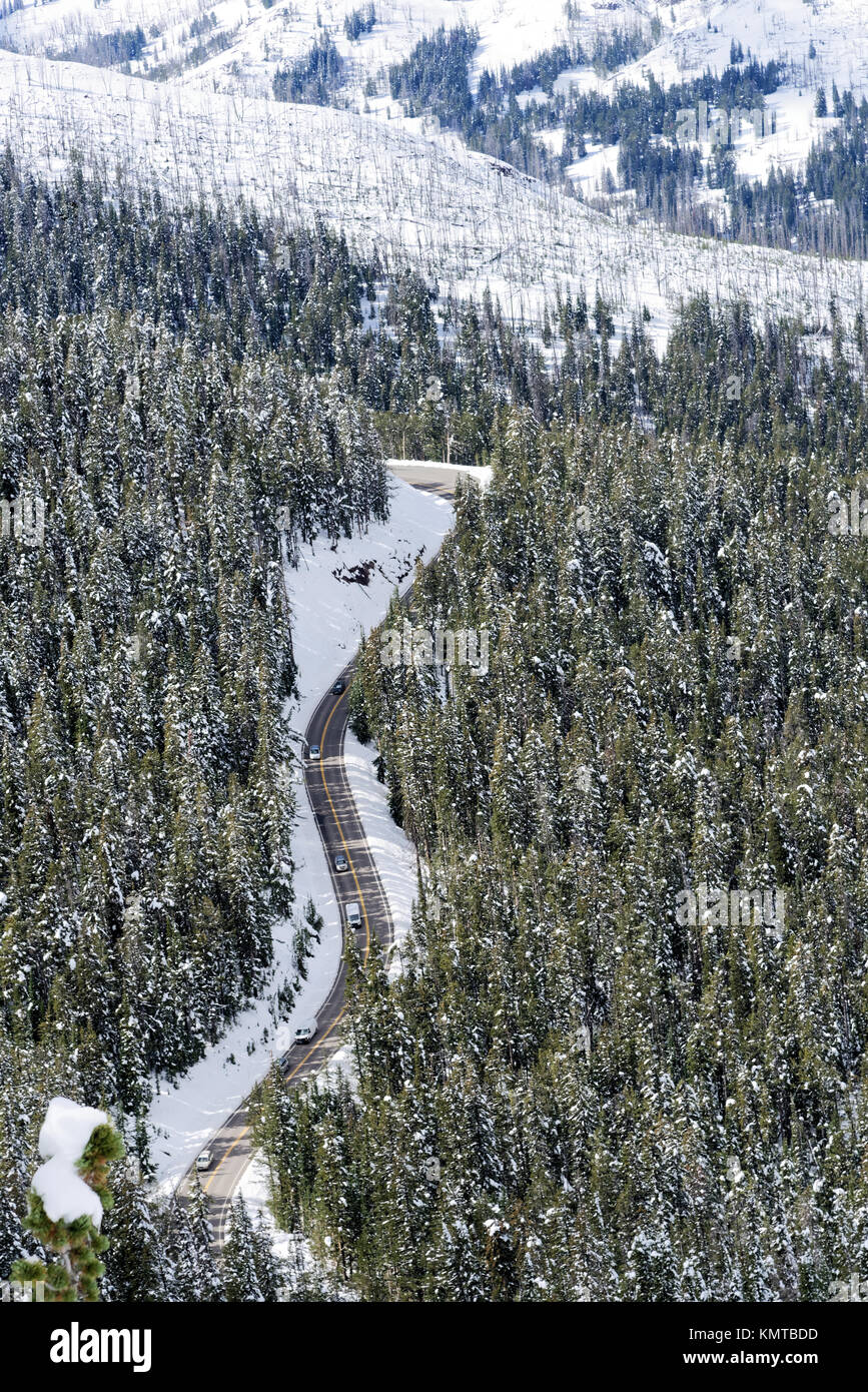Yellowstone forest snow hi-res stock photography and images - Alamy