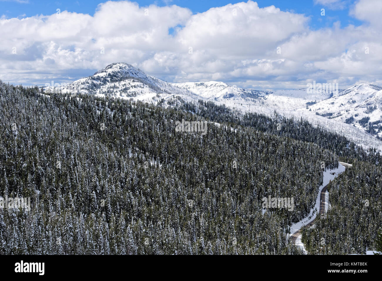 Overlooking Yellowstone National Park from the Mt Washburn Trail Stock ...