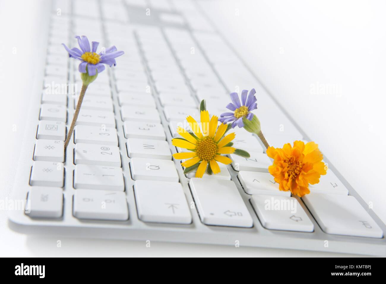 Metaphor flower industry hi-res stock photography and images - Alamy