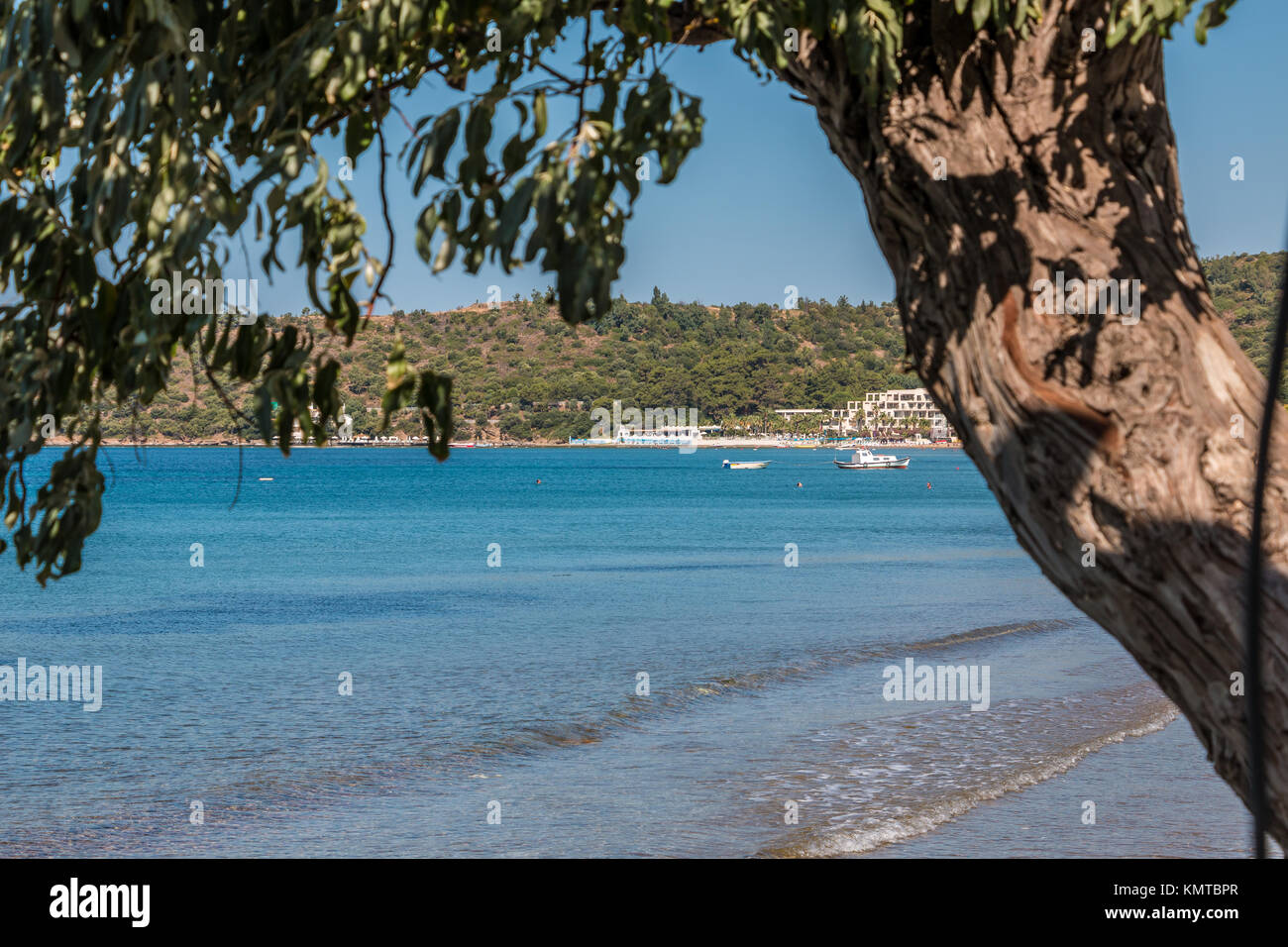 Deep sea adventure hi-res stock photography and images - Alamy
