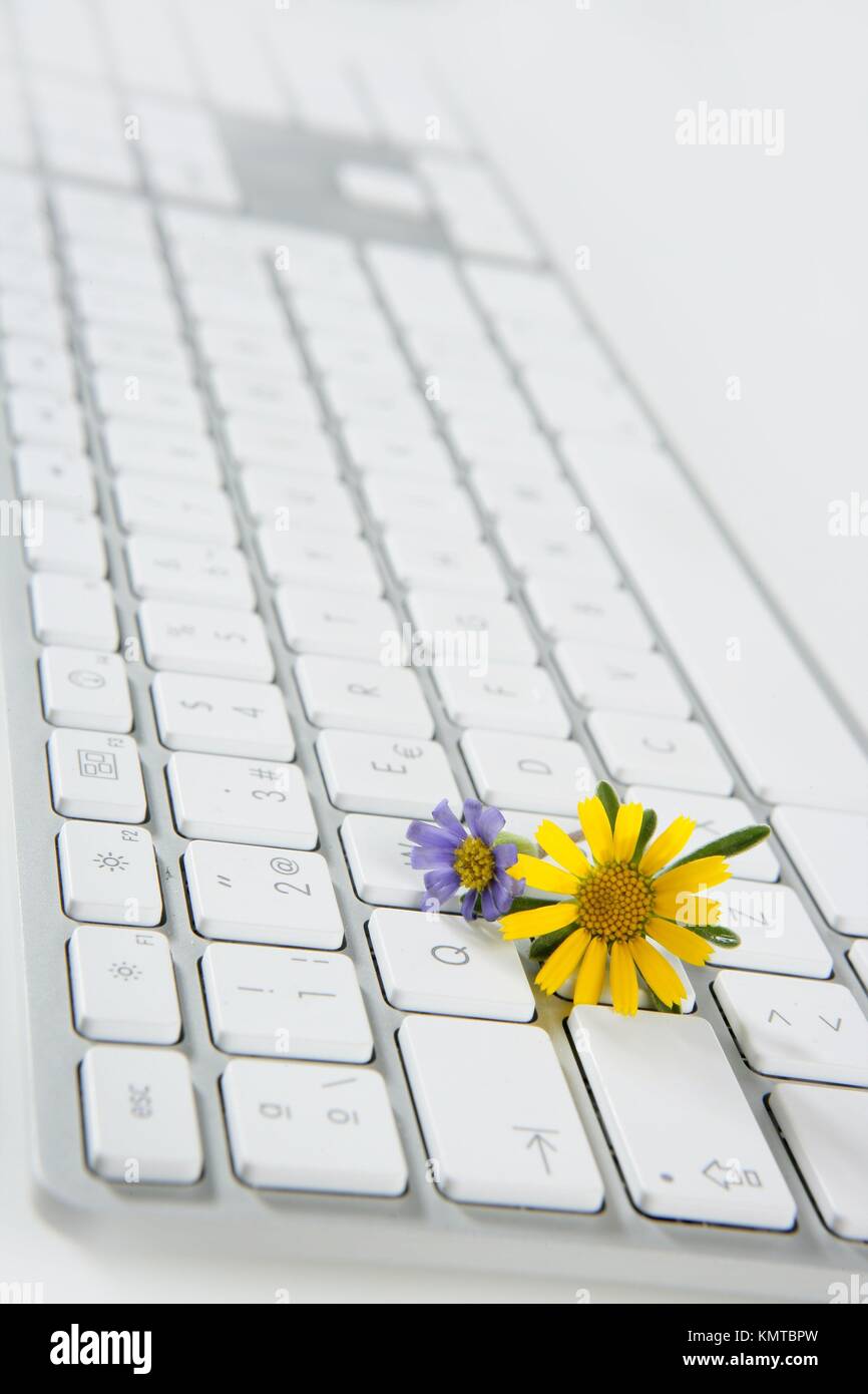 Concept of flowers growing from computer, ecology metaphor Stock Photo ...