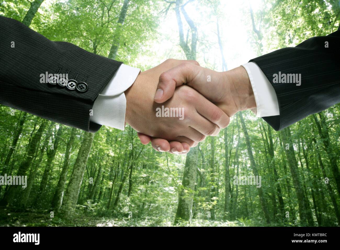 Ecological handshake businessman in a forest green background Stock ...