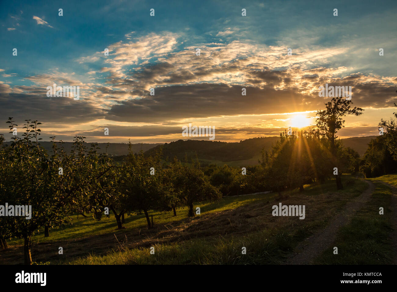 Apple fields hi-res stock photography and images - Alamy