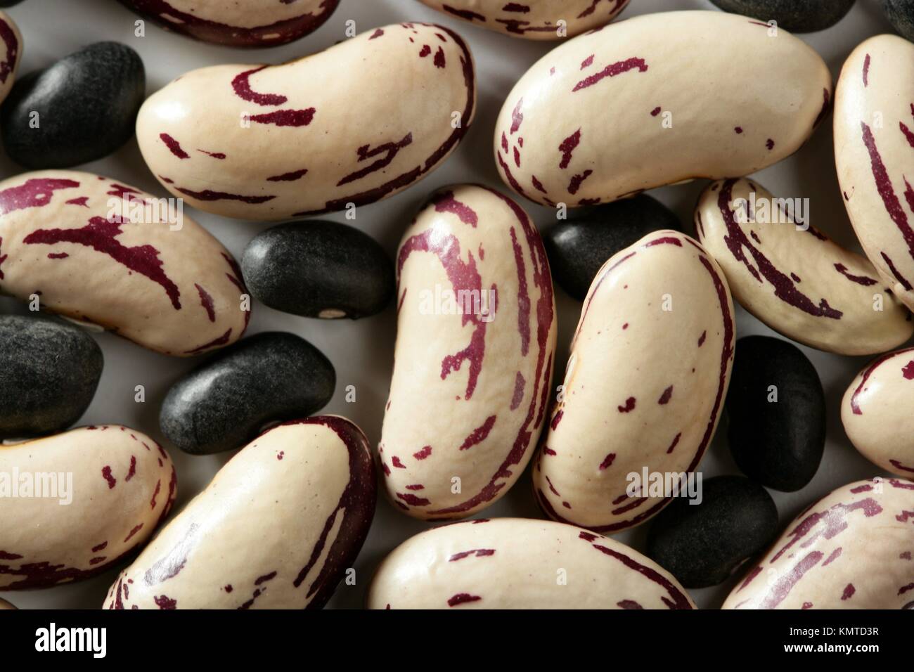 Dried beans macro at studio white background Stock Photo - Alamy