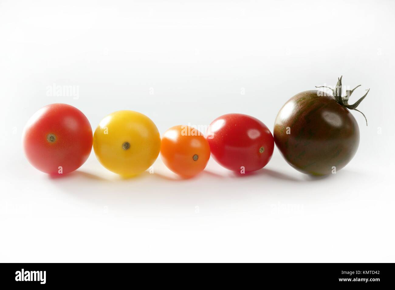 Little cherry varied multi color tomatoes, at studio, white background ...