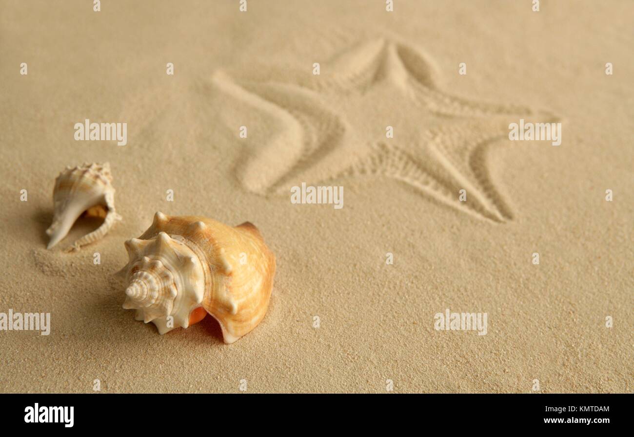 Starfish footprint over caribbean sand, vacation concept Stock Photo ...