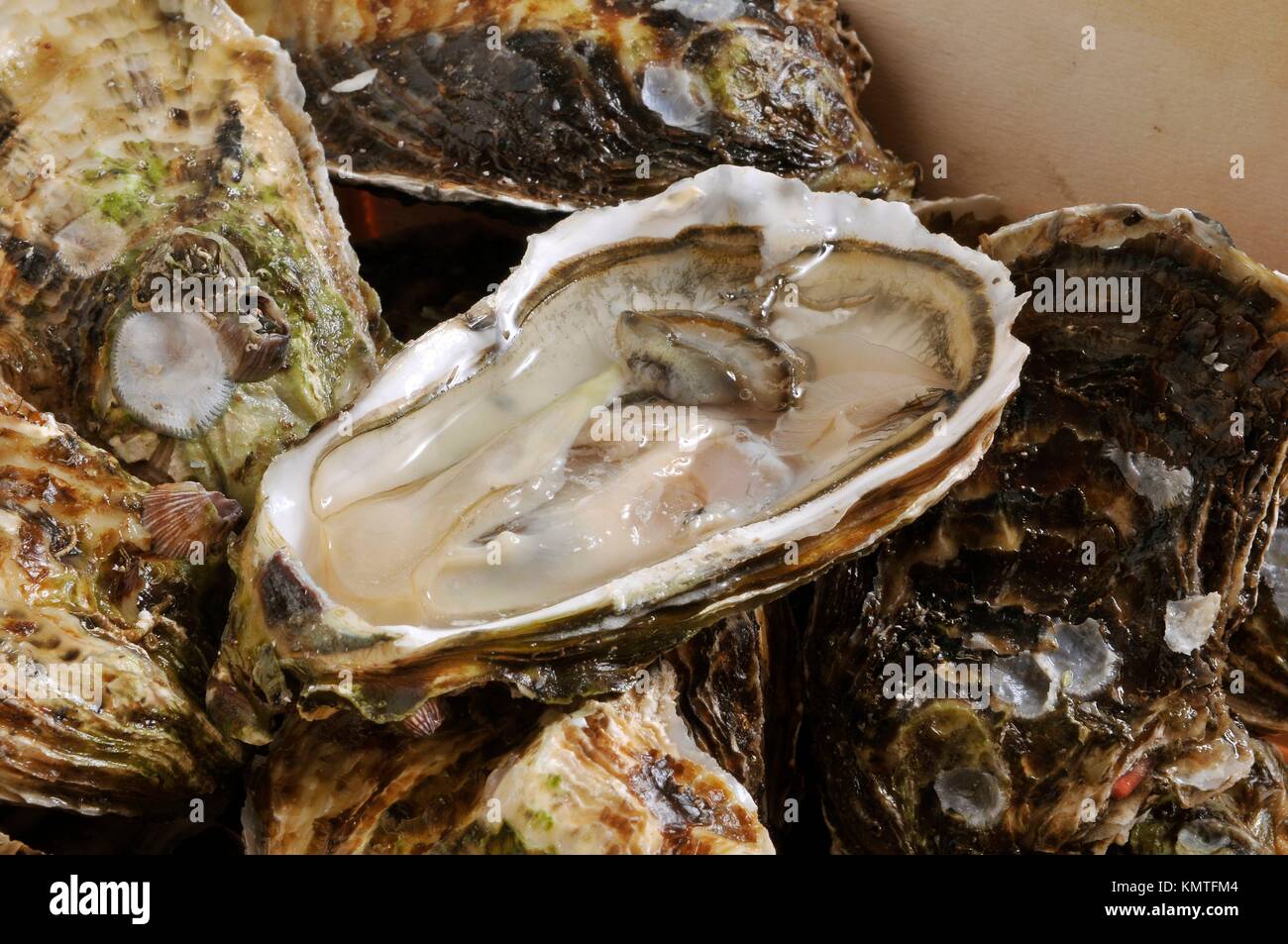 Caja abierta hi-res stock photography and images - Alamy