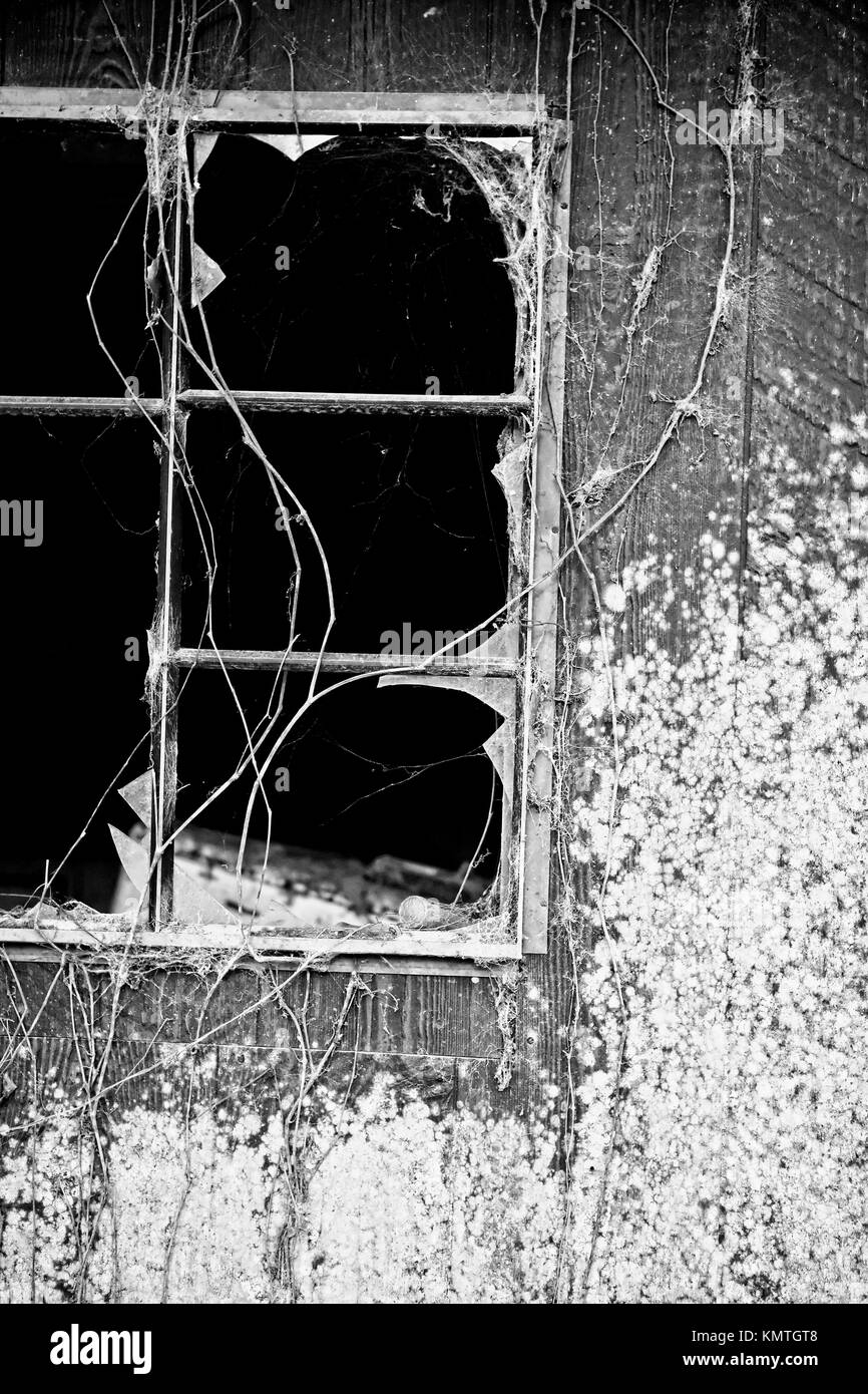 broken window and mildew covered wall Stock Photo - Alamy