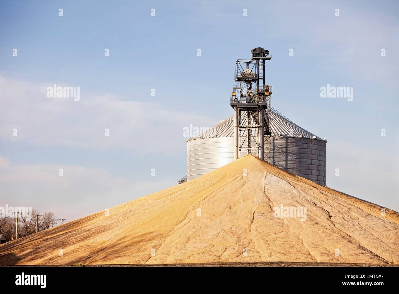 grain dryer and immense pile of corn Stock Photo - Alamy