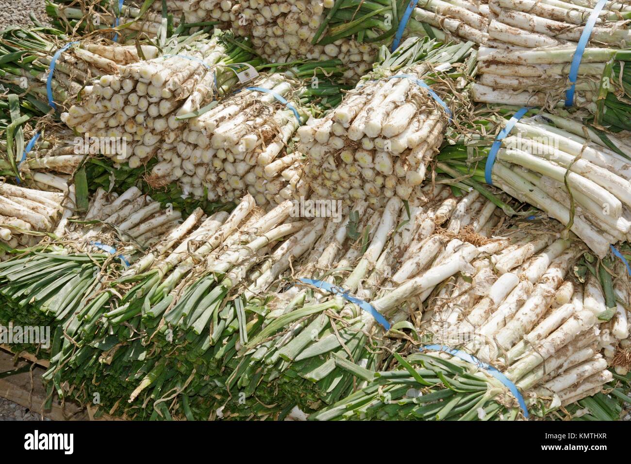 Valls spain calcots hi-res stock photography and images - Alamy