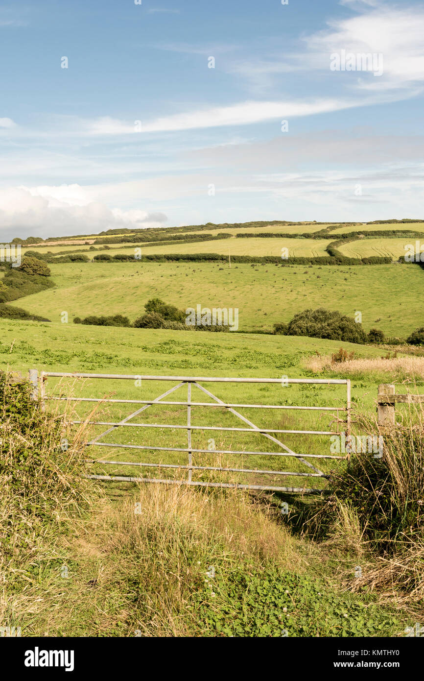 Farmland near Mullion, Cornwall, UK Stock Photo - Alamy