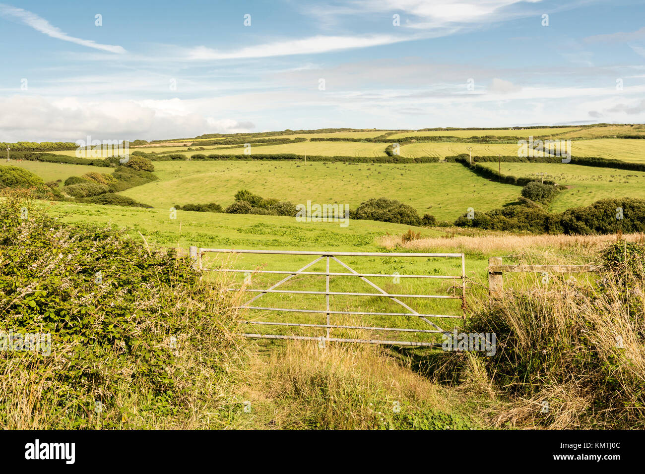 Field hedgerows cornwall hi-res stock photography and images - Alamy