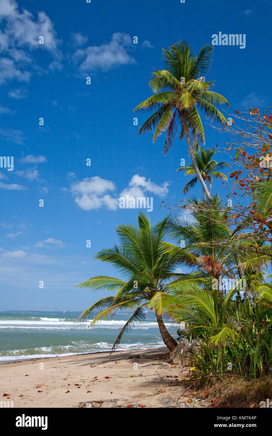 Western Puerto Rico High Resolution Stock Photography and Images - Alamy