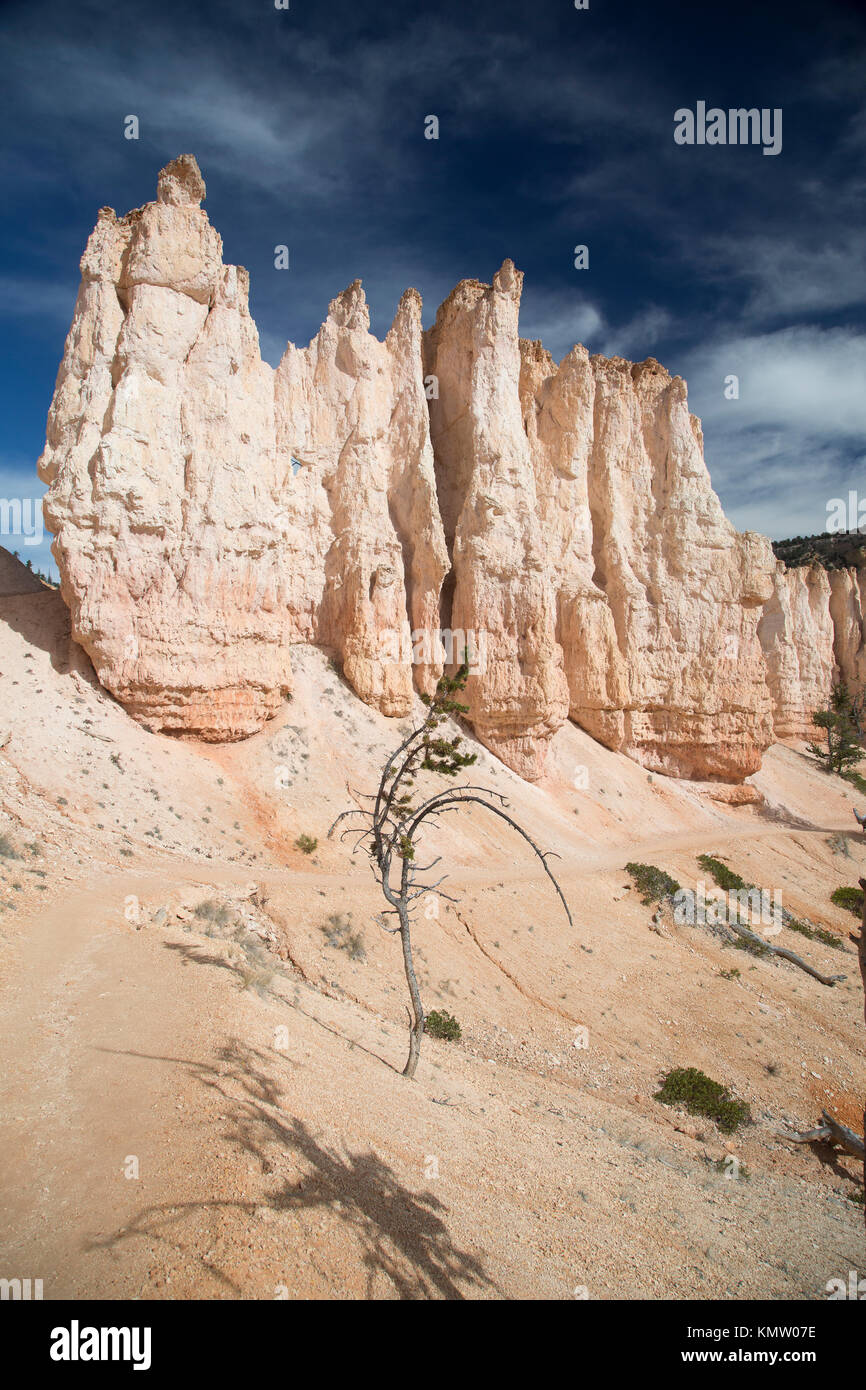 The view of a unique red rock outcropping at Bryce National Park in ...