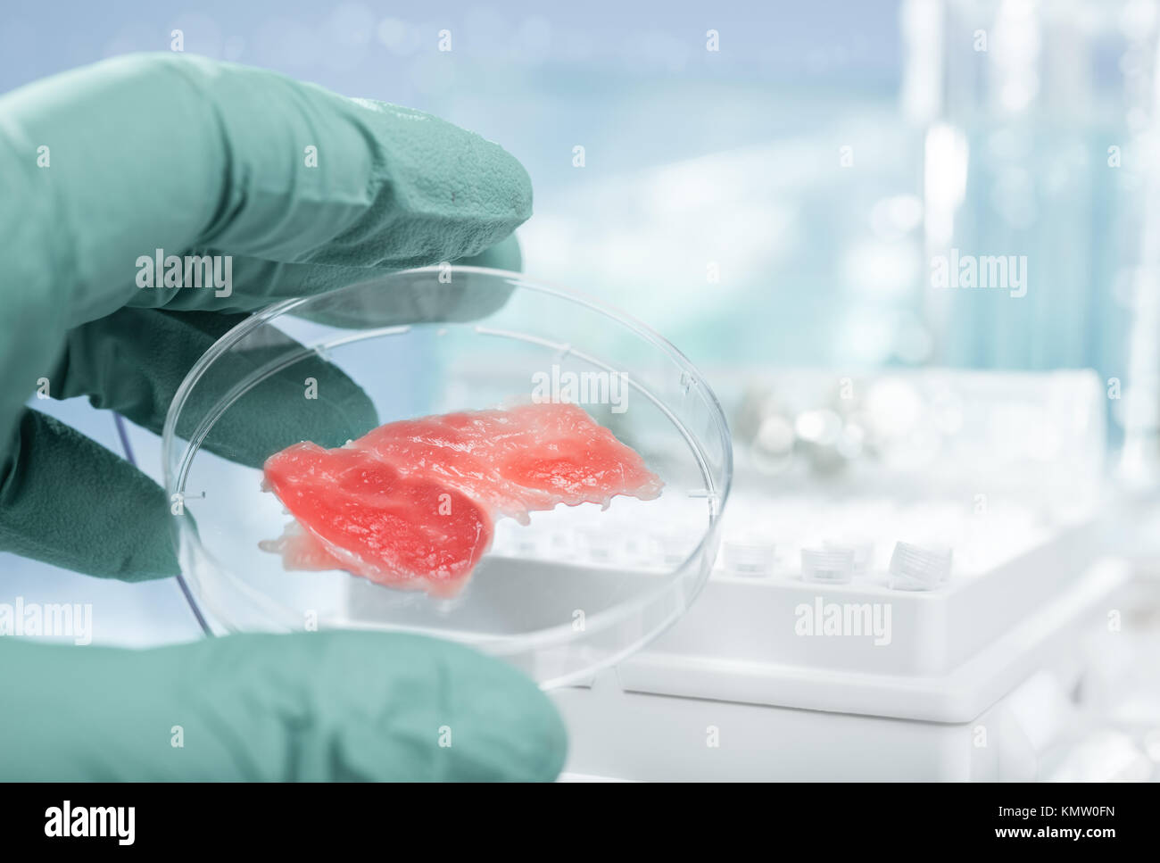Laboratory meat hand hi-res stock photography and images - Alamy
